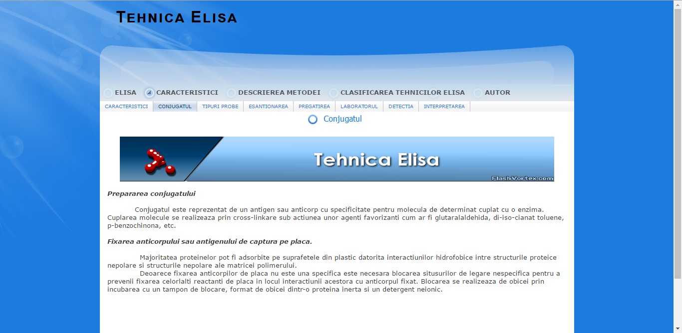 Atestat Informatica Tehnica Elisa. Atestat Informatica Html 2020